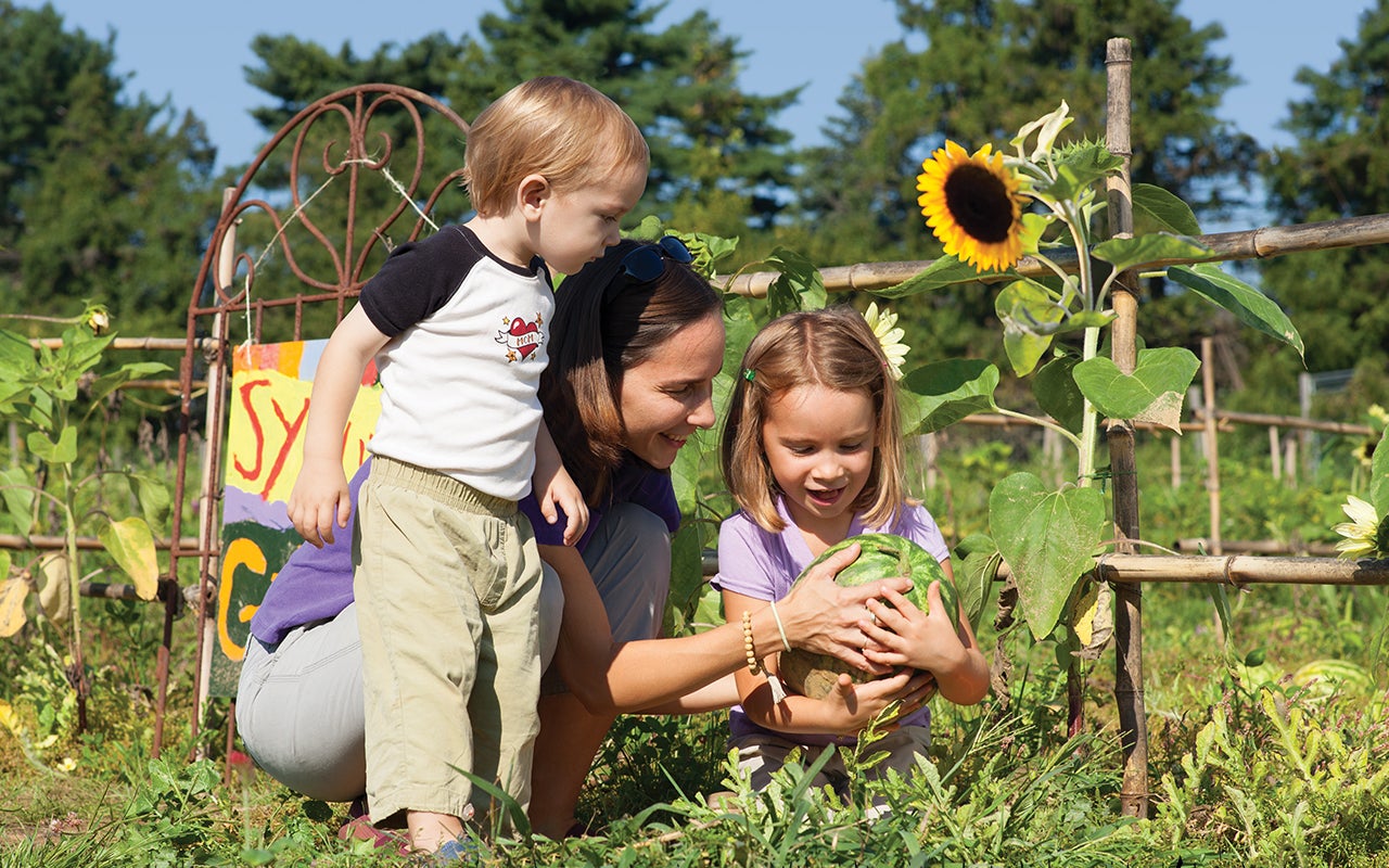 New film 'Watermelon Magic' celebrates the joys of discovery, nature ...